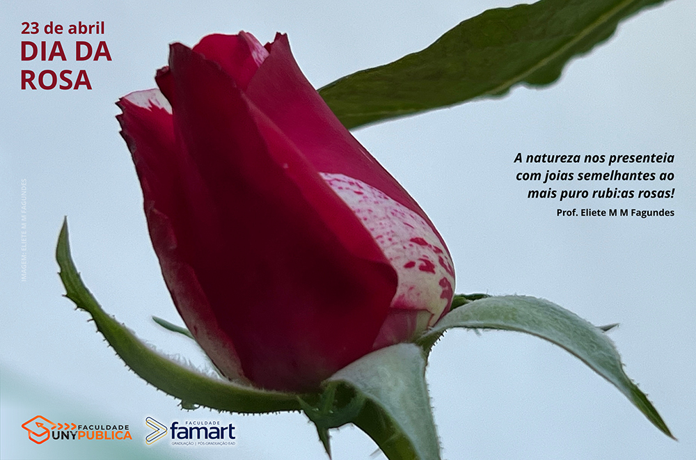 Blog – Pós Graduação Homeopatia